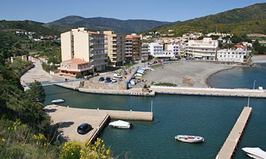 Colera